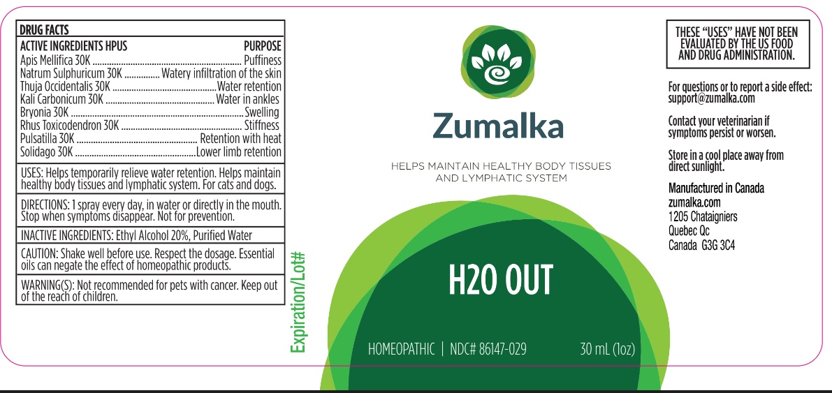 H20 OUT- apis mellifera, sodium sulfide nonahydrate, thuja occidentalis ...