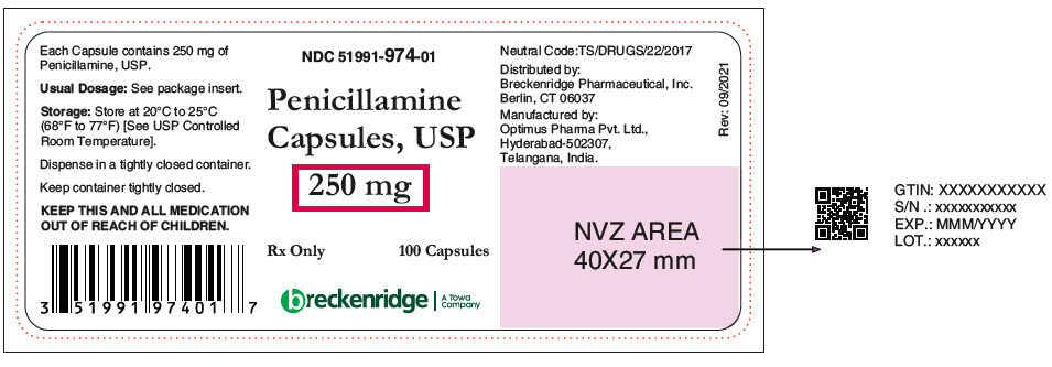 Penicillamine by Breckenridge Pharmaceutical, Inc. / Optimus Pharma ...