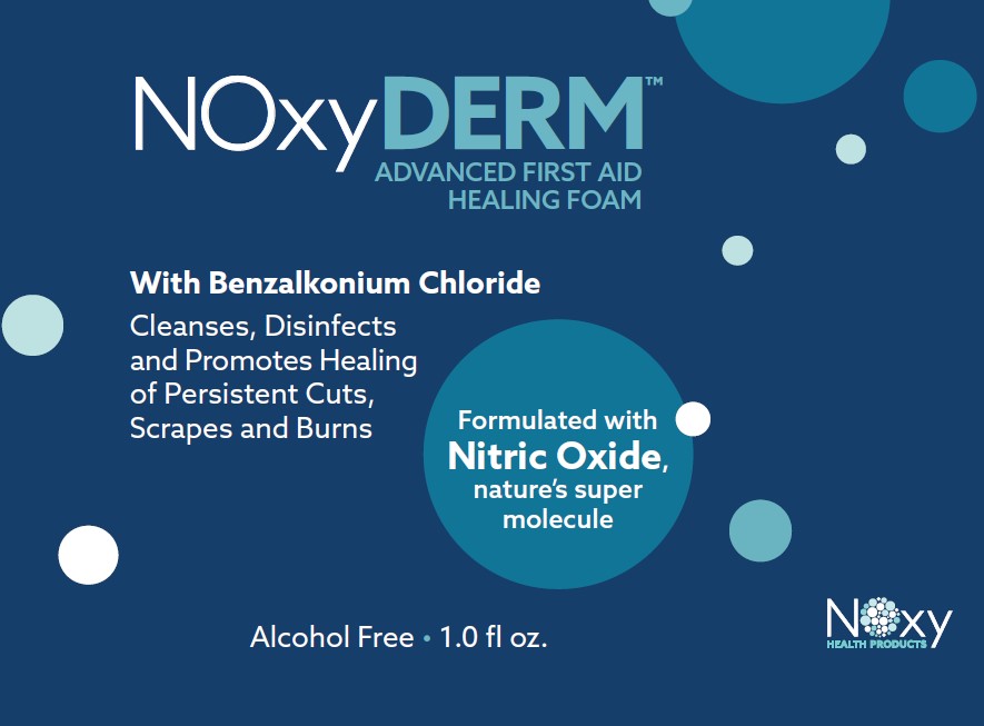 NOXYDERM- benzalkonium chloride liquid