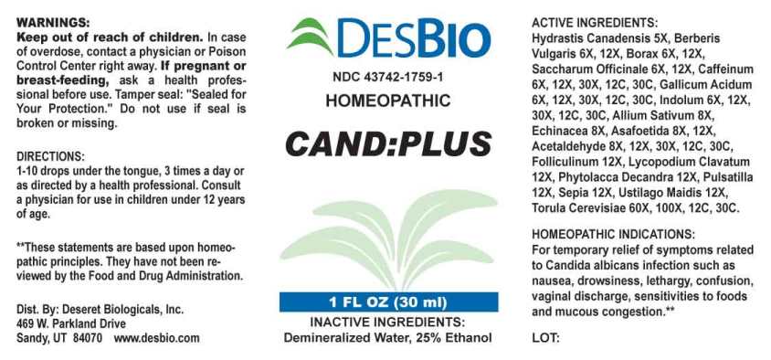 CAND PLUS (hydrastis canadensis, berberis vulgaris, borax, saccharum ...