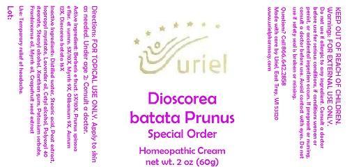 DIOSCOREA BATATA PRUNUS SPECIAL ORDER cream