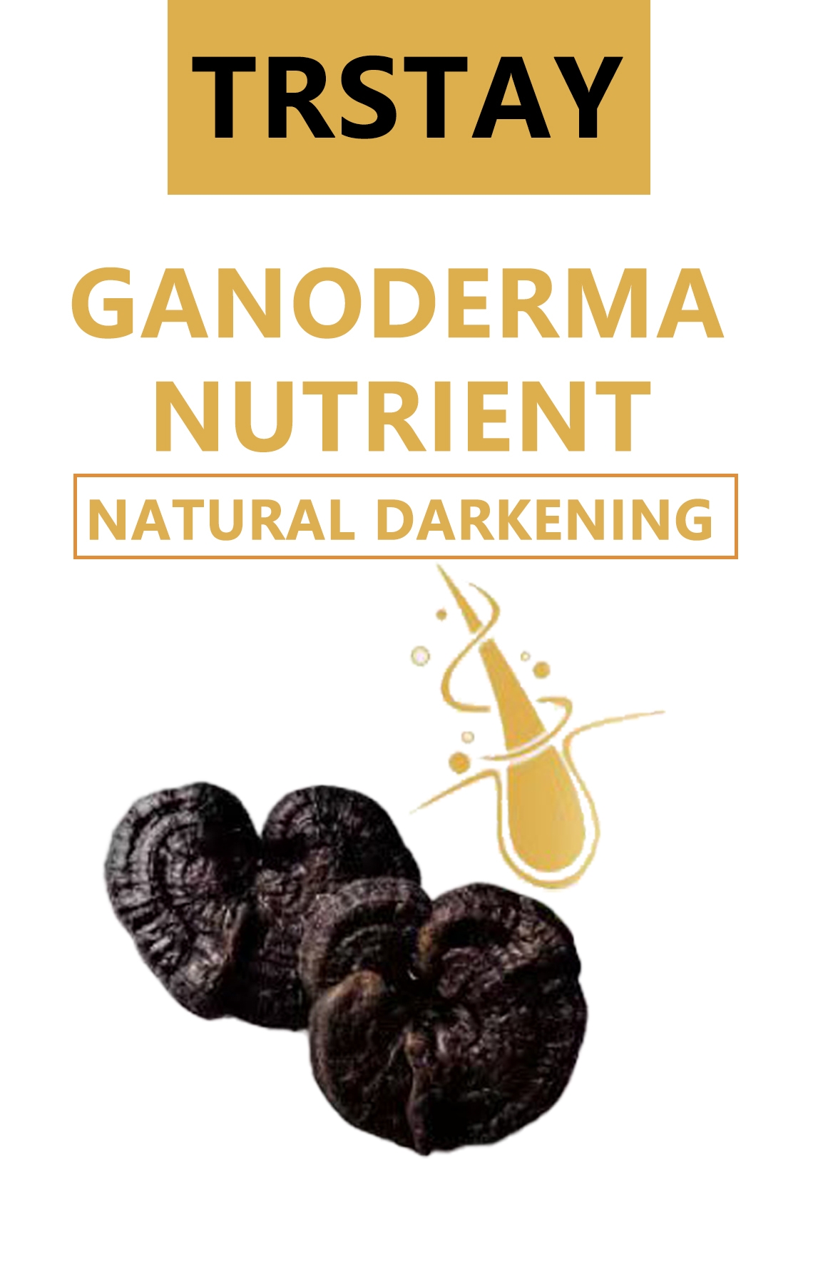 GANODERMA NUTRIENT liquid