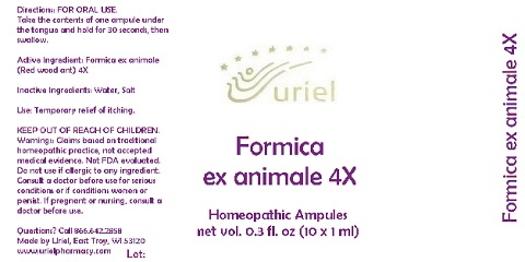 FORMICA EX ANIMALE 4 liquid