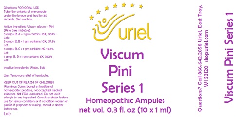 VISCUM PINI SERIES 1 liquid