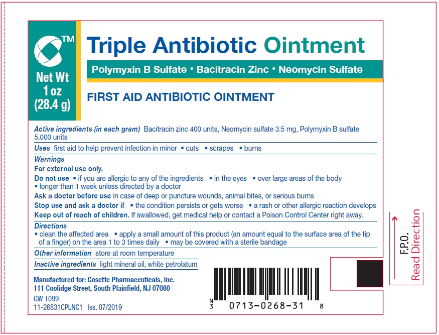TRIPLE ANTIBIOTIC OINTMENT- polymyxin b sulfate, bacitracin zinc ...