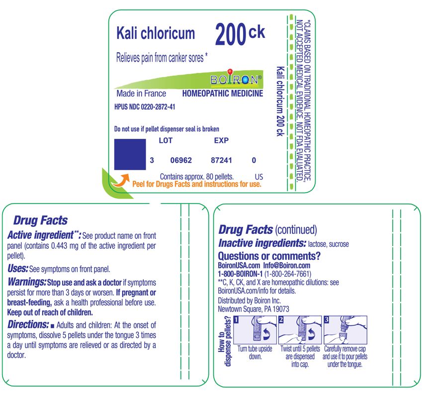 KALI CHLORICUM- potassium chlorate pellet