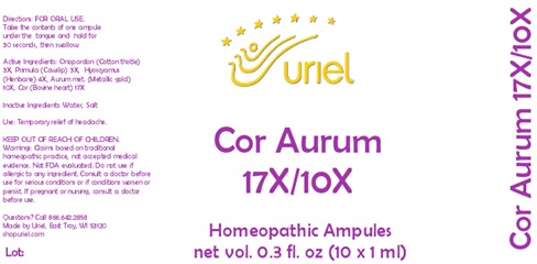 Cor Aurum 17/10 by Uriel Pharmacy Inc. COR AURUM 17/10 liquid