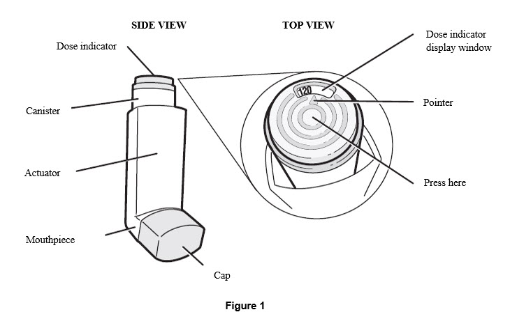BREZTRI- budesonide, glycopyrrolate, and formoterol fumarate aerosol ...