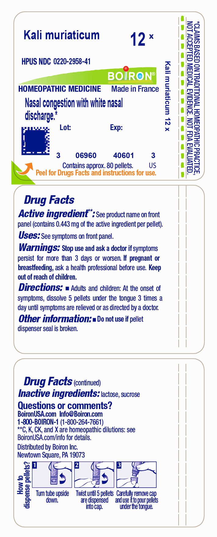 KALI MURIATICUM- potassium chloride pellet