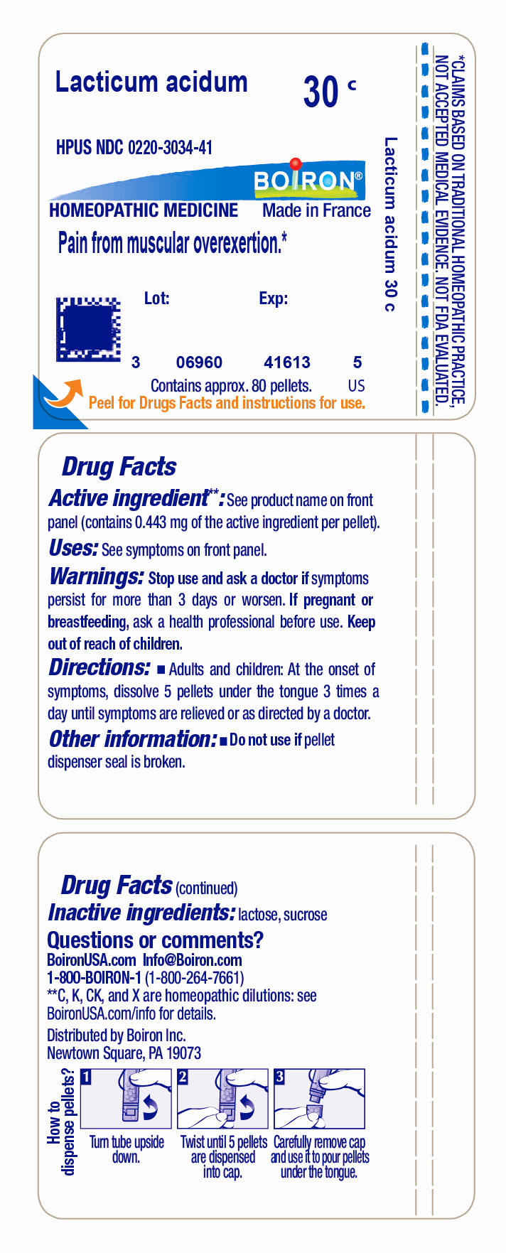 LACTICUM ACIDUM- lactic acid, dl- pellet