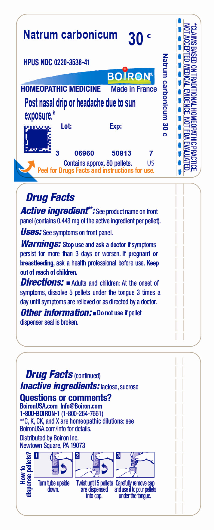 NATRUM CARBONICUM- sodium carbonate pellet