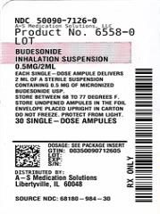 BUDESONIDE INHALATION suspension