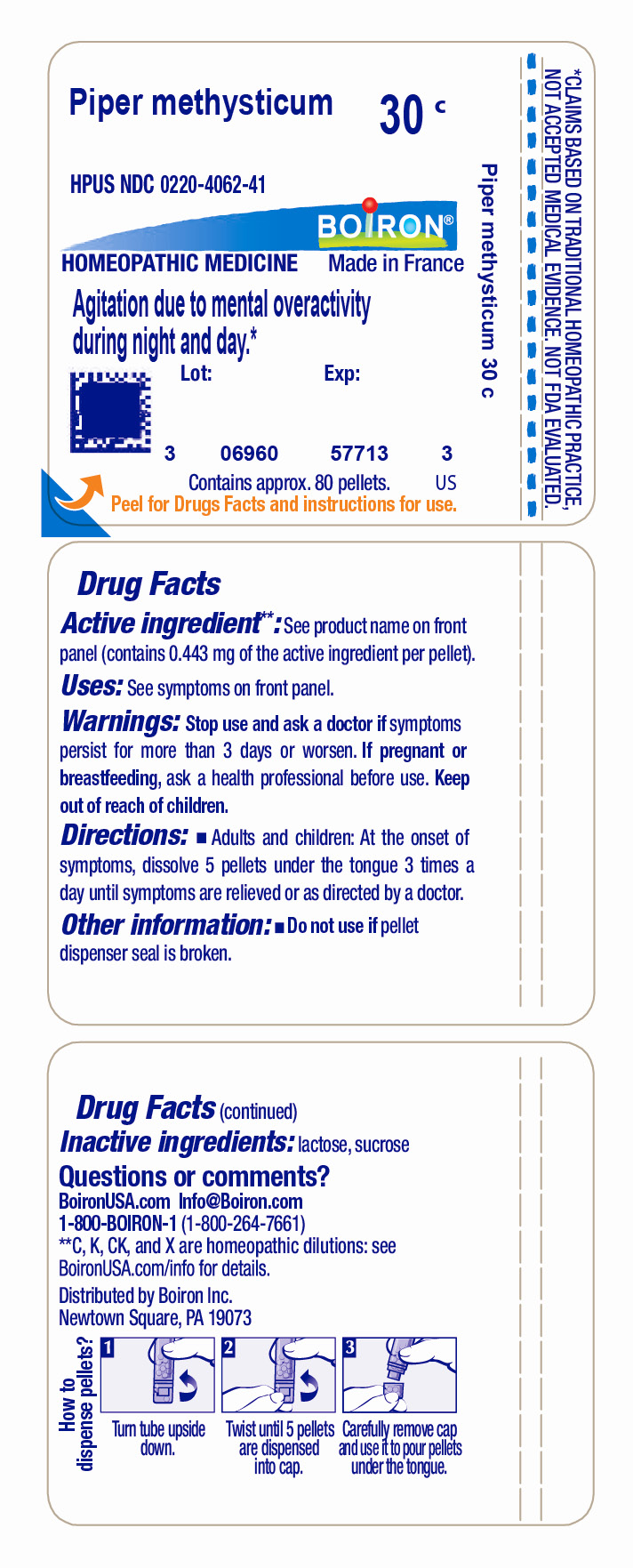 PIPER METHYSTICUM- macropiper methysticum root pellet