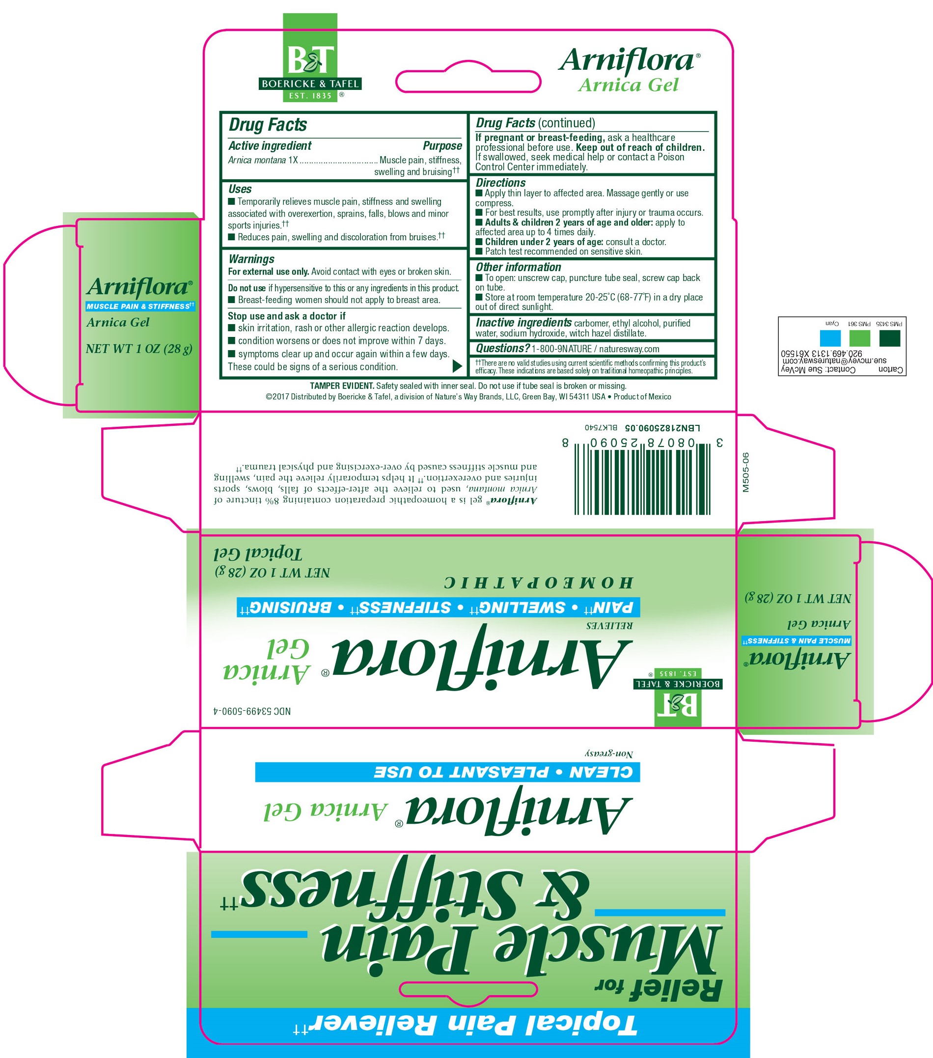 ARNIFLORA- arnica montana gel