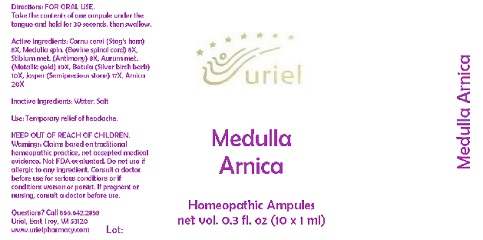 Medulla Arnica by Uriel Pharmacy Inc. MEDULLA ARNICA liquid