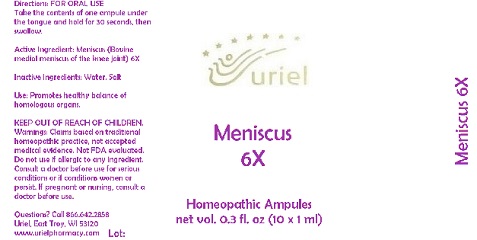 Meniscus 6 by Uriel Pharmacy Inc. MENISCUS 6 liquid