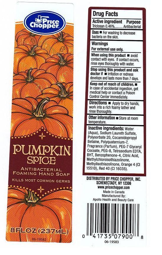 PRICE CHOPPER PUMPKIN SPICE ANTIBACTERIAL FOAMING- triclosan liquid
