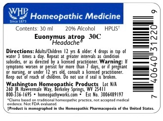 EUONYMUS ATROPURPUREUS- euonymus atropurpureus branch bark/root bark liquid