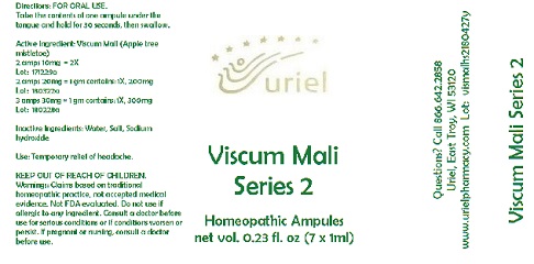 VISCUM MALI SERIES 2 7ML liquid