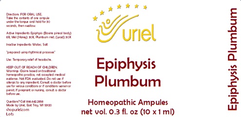 EPIPHYSIS PLUMBUM liquid