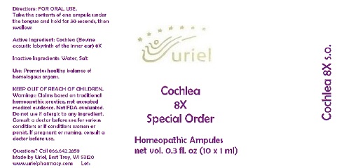 COCHLEA 8 SPECIAL ORDER liquid