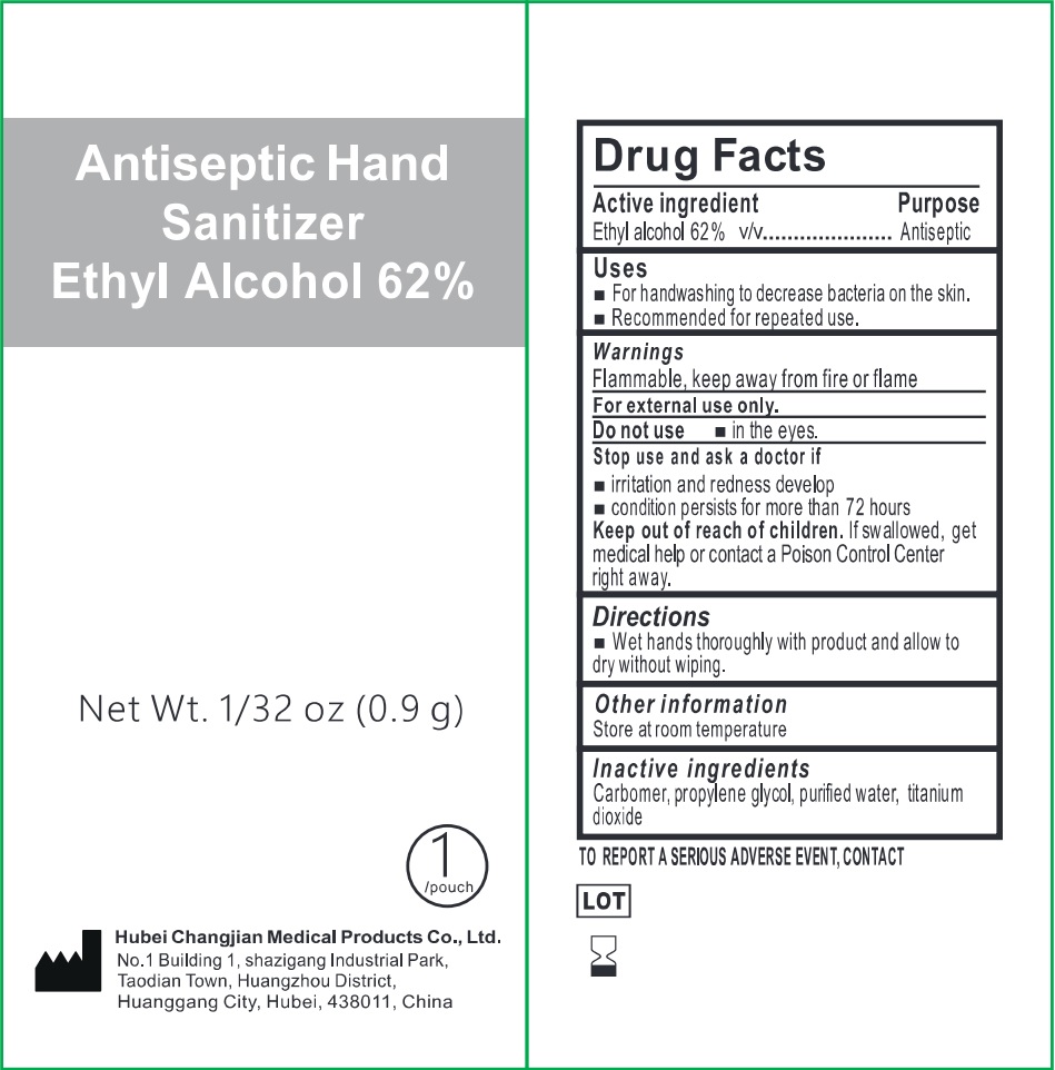 ANTISEPTIC HAND SANITIZER- alcohol liquid