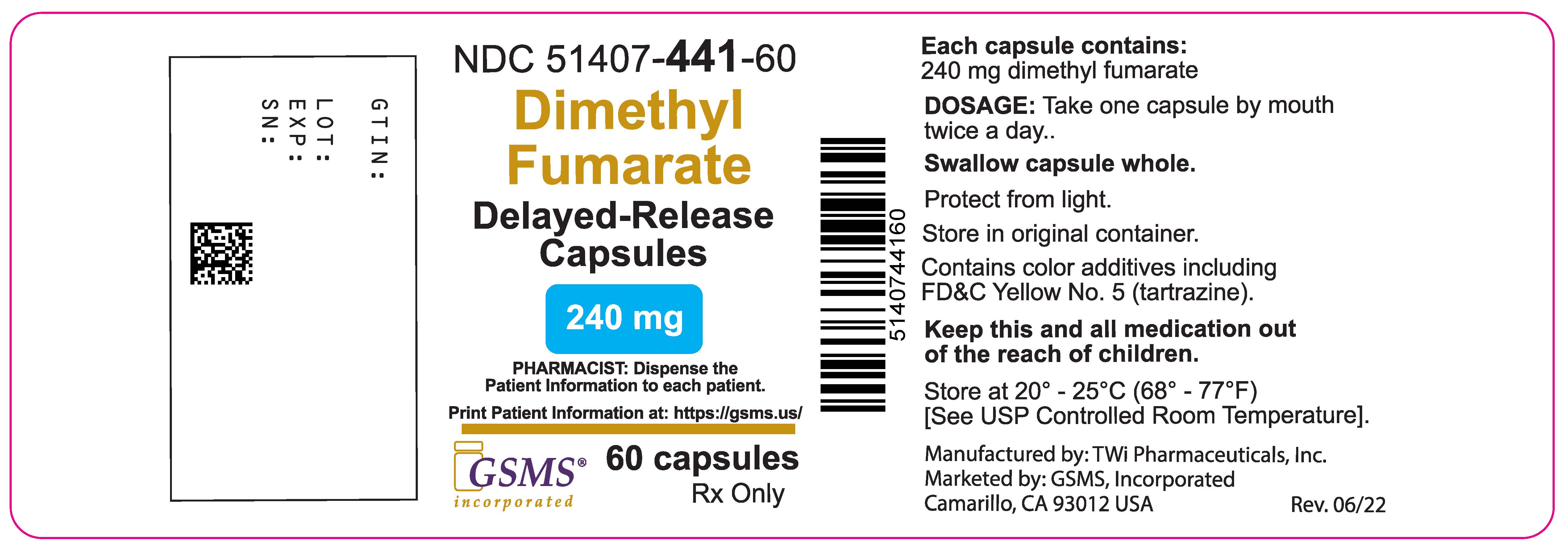 DIMETHYL FUMARATE capsule, delayed release