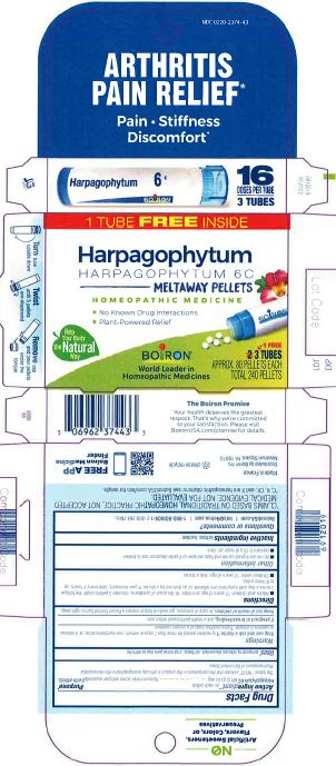 HARPAGOPHYTUM- harpagophytum procumbens root pellet