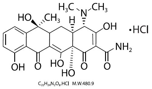 TETRACYCLINE HYDROCHLORIDE tablet, film coated