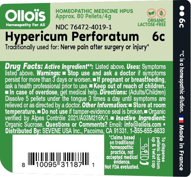 Sevene USA (as PLD) - Hypericum Perforatum 6C ( 76472-4019 )