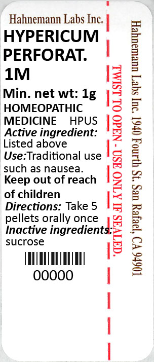 HYPERICUM PERFORATUM pellet