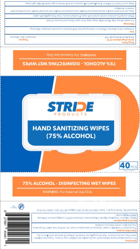 Stride Products Hand Sanitizing Wipes by Stride Engineering Inc.