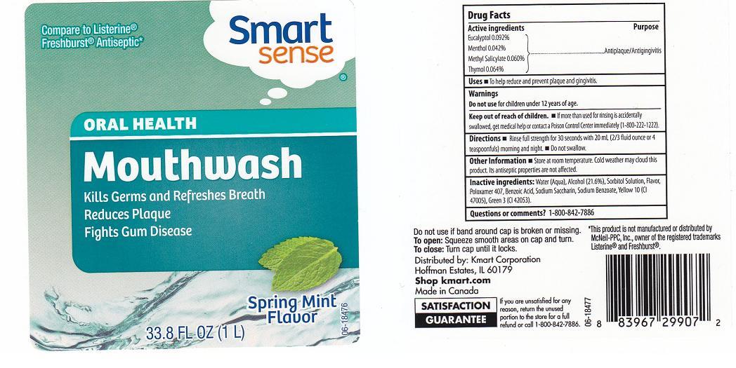 SMART SENSE SPRING MINT- eucalyptol, menthol, methyl salicylate, thymol ...