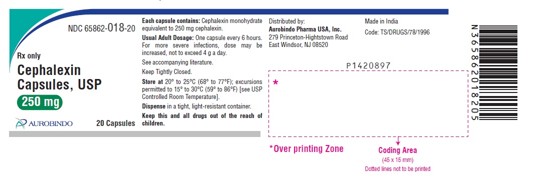 Cephalexin by RedPharm Drug, Inc. CEPHALEXIN capsule