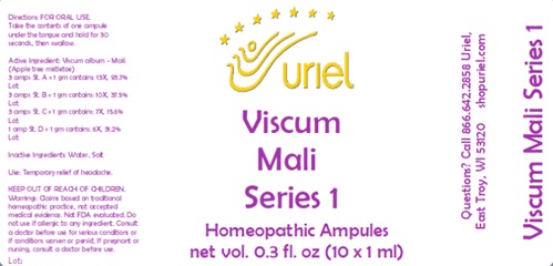 VISCUM MALI SERIES 1 liquid