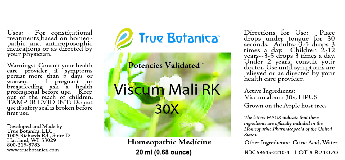 VISCUM MALI RK 30X liquid