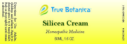 Silicea 6X by True Botanica, LLC SILICEA 6X cream